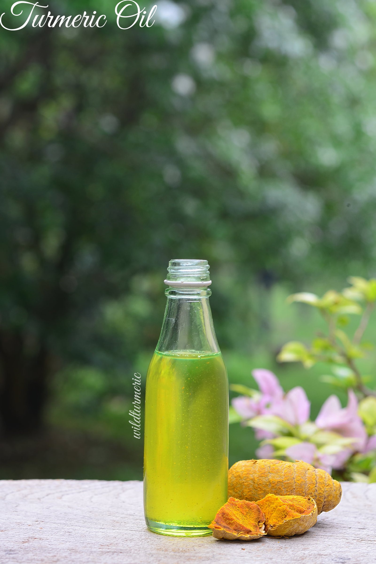 10 Top Turmeric Health Benefits & Medicinal Uses - Wildturmeric