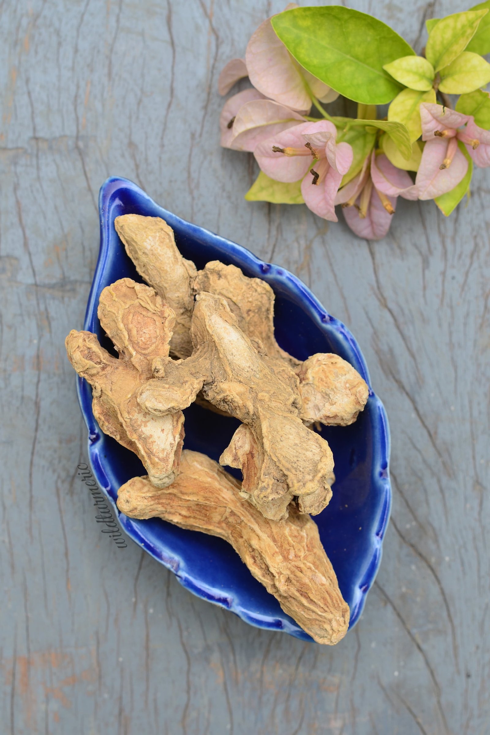 6 Top Benefits Of Dry Ginger (Sonth | Sukku) - Wildturmeric