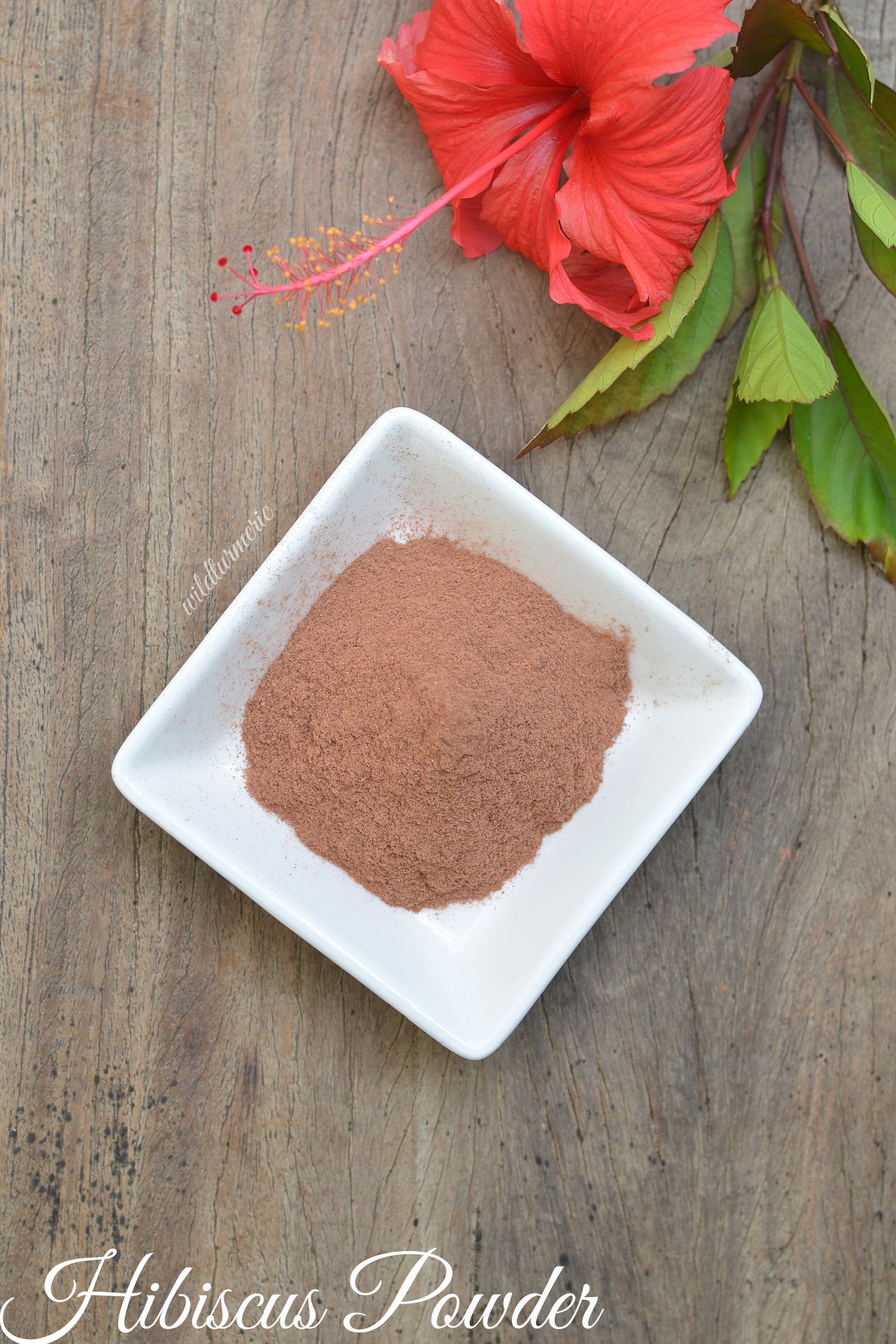 7 Top Hibiscus Flower Benefits For Hair, Skin & Health - Wildturmeric