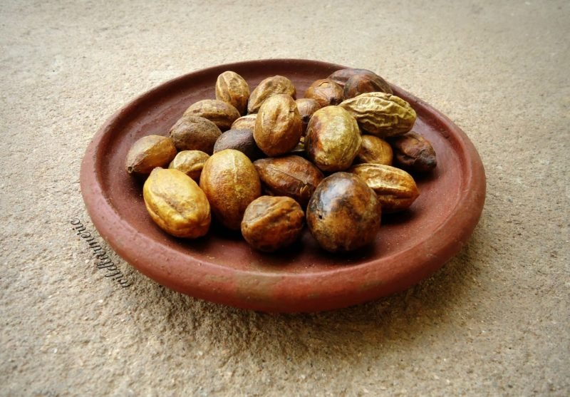 5 Top Benefits Of Kadukkai Powder For Skin, Hair & Health! - Wildturmeric