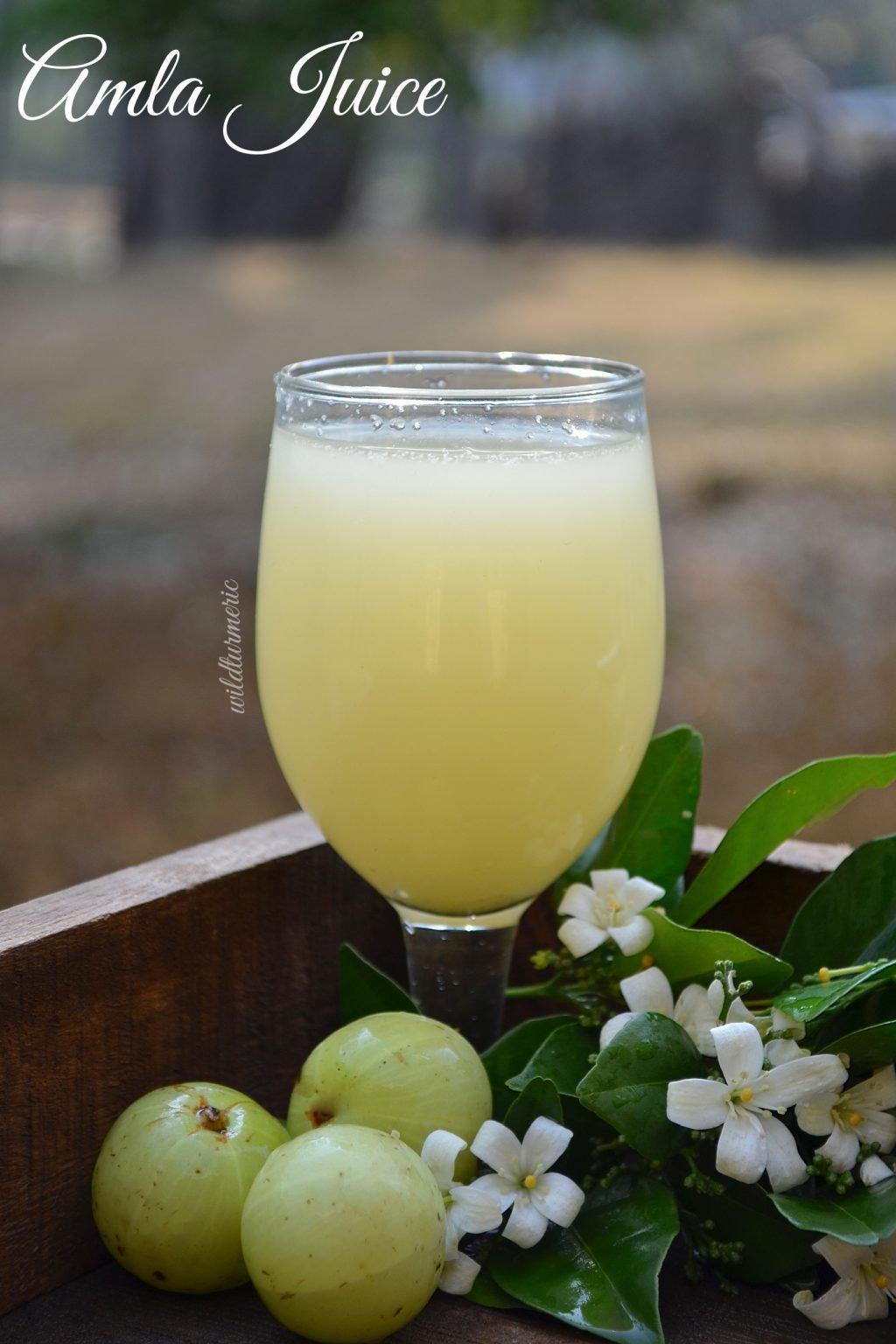 10 Top Amla (Nellikai) Benefits For Hair, Skin & Health - Wildturmeric