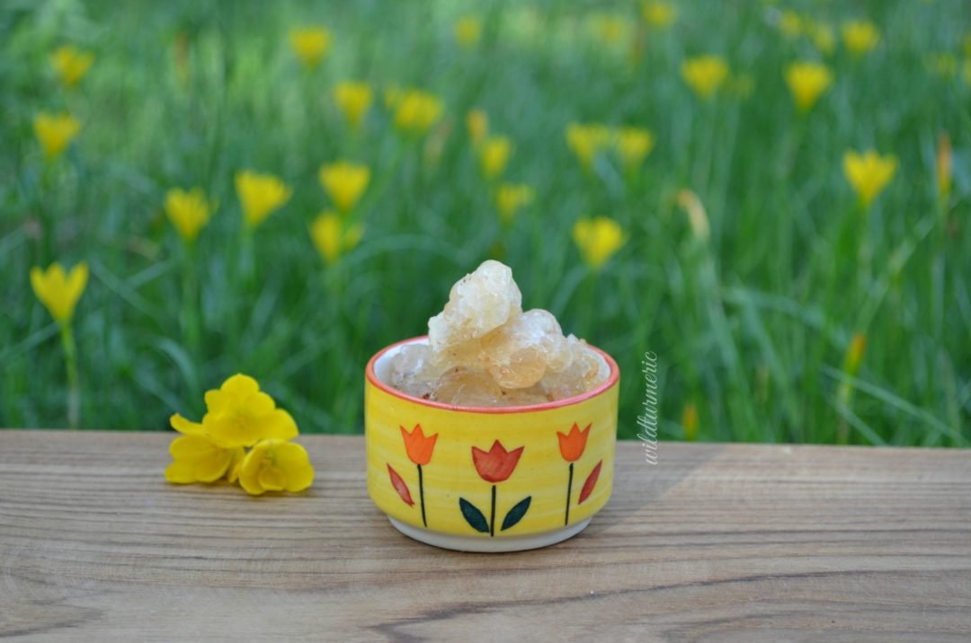 5 Top Benefits & Uses Of Badam Pisin | Almond Gum | Badam Gum | Badam ...