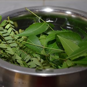 10 Top Benefits & Uses Of Tamarind | Imli - Wildturmeric