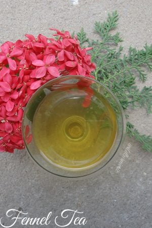 8 Top Benefits & Side Effects Of Fennel Seeds | Saunf - Wildturmeric