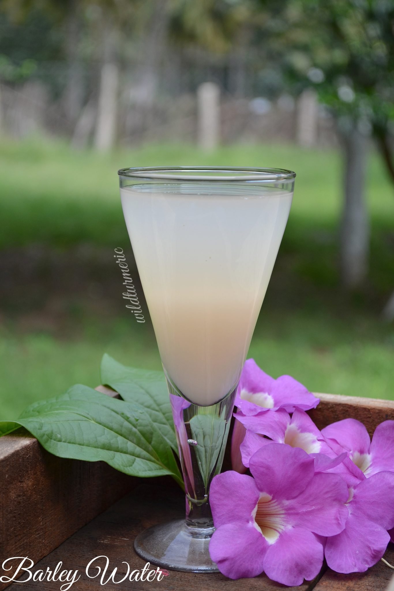 6 Top Benefits & Side Effects Of Barley Water - Wildturmeric