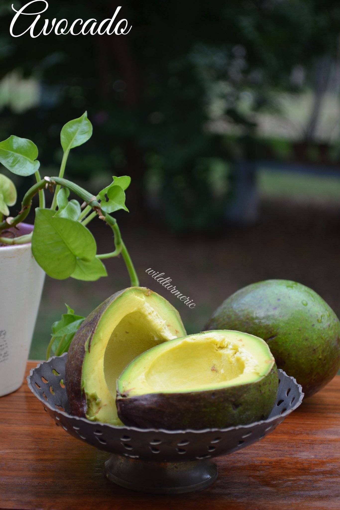 Avocado For Skin Care: Benefits & 3 Ways To Use It - Wildturmeric