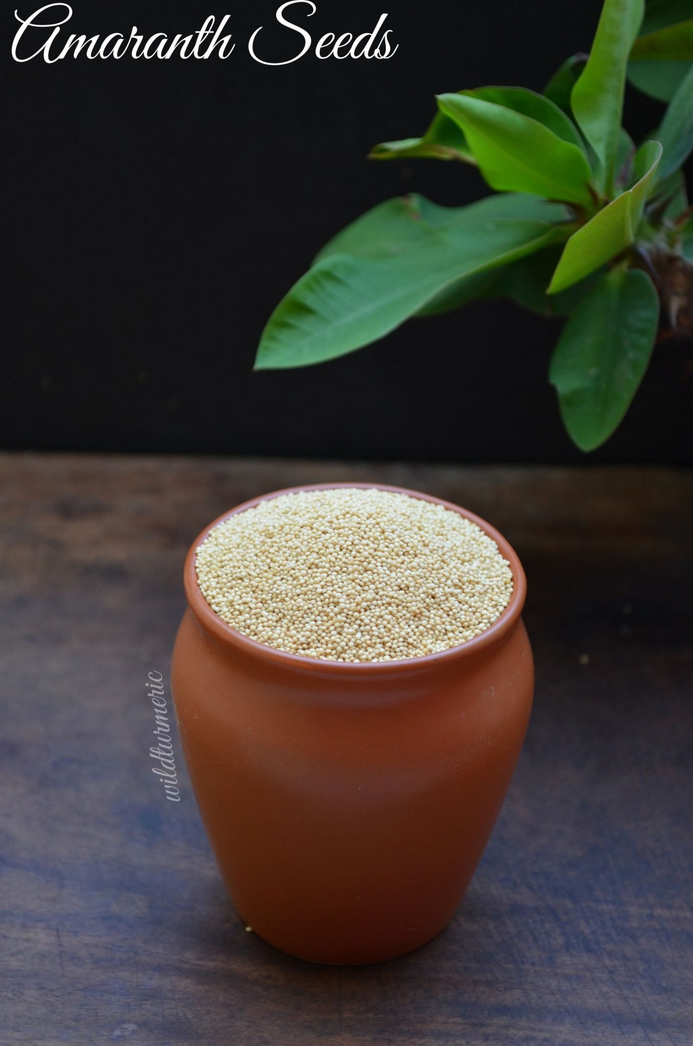 10 Top Benefits & Side Effects Of Amaranth (Rajgira) - Wildturmeric