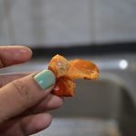 5 Top Benefits Of Jujube Fruit | Ber Fruit (Elantha Palam) - Wildturmeric