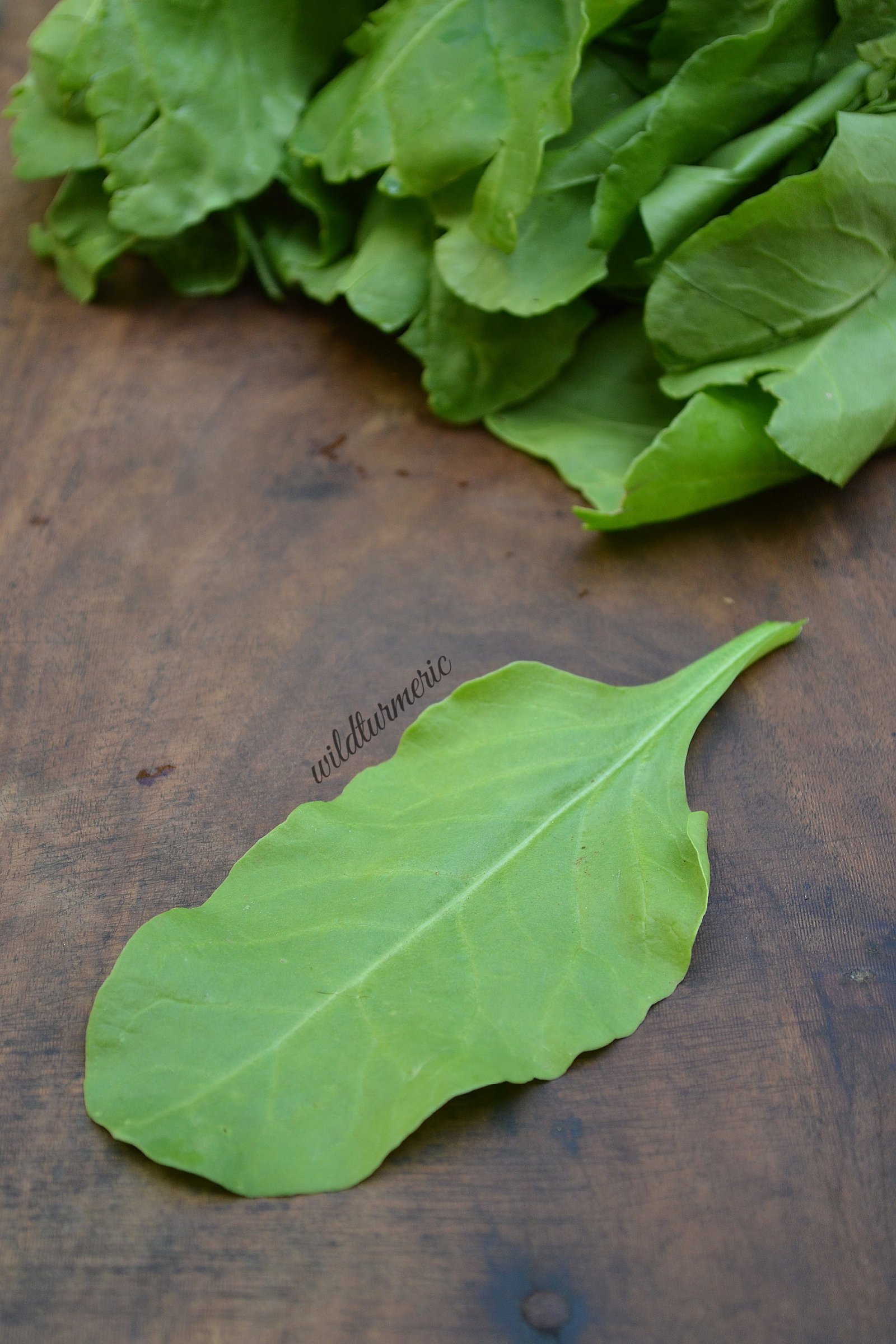 10 Top Benefits Of Spinach (Palak) | Pasalai Keerai - Wildturmeric