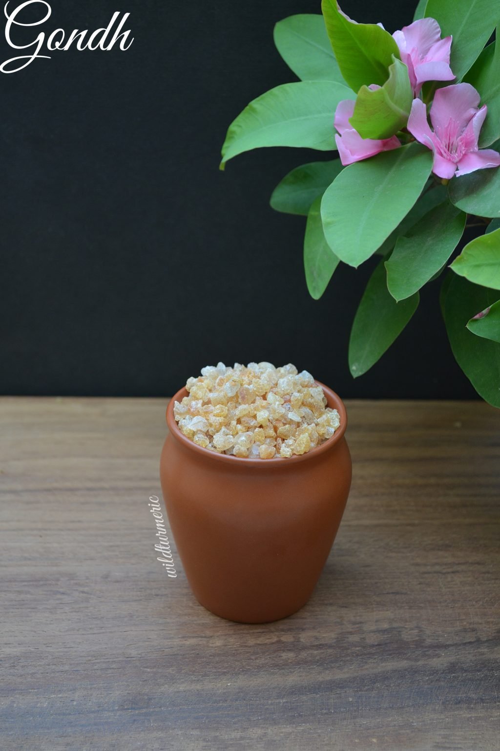 Edible Gum Gondh Benefits Gond Ke Laddu Recipe Wildturmeric