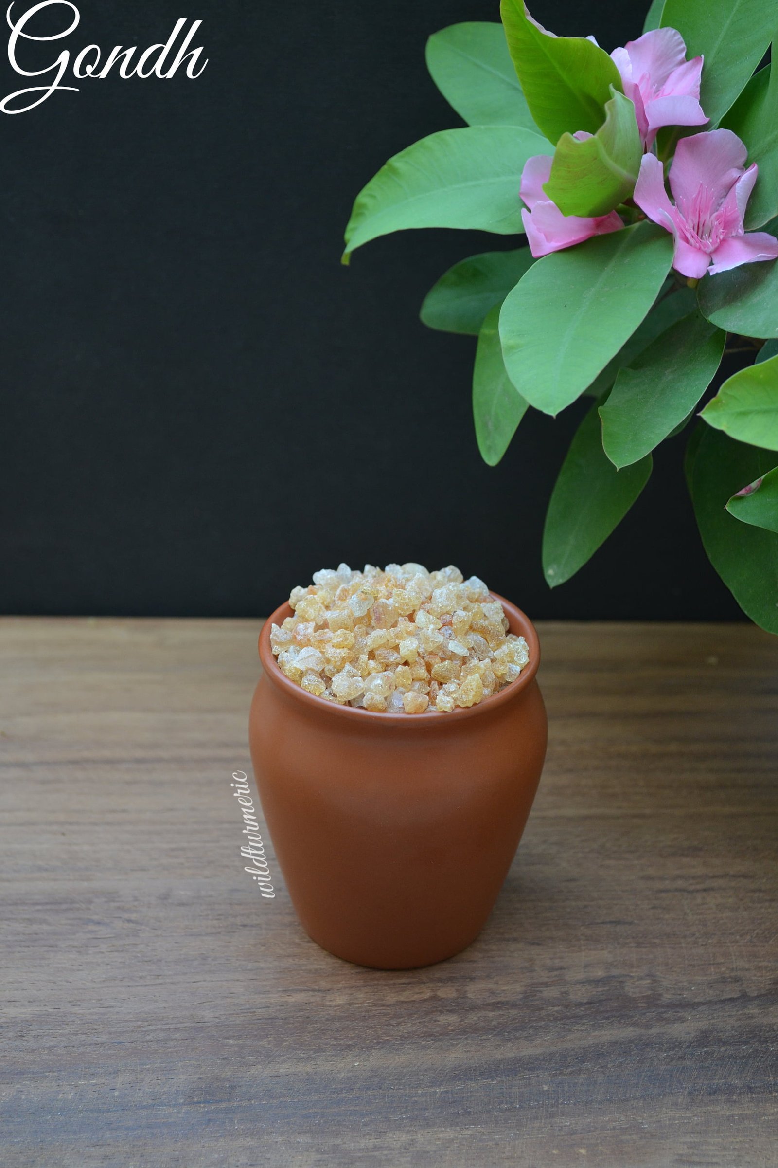 Edible Gum (Gondh): Benefits + Gond Ke Laddu Recipe - Wildturmeric
