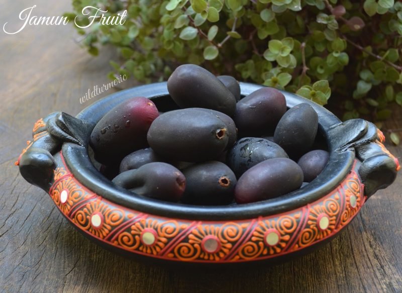 10 Top Benefits Of Jamun Fruit (Naval Palam | Nerale Hannu) - Wildturmeric