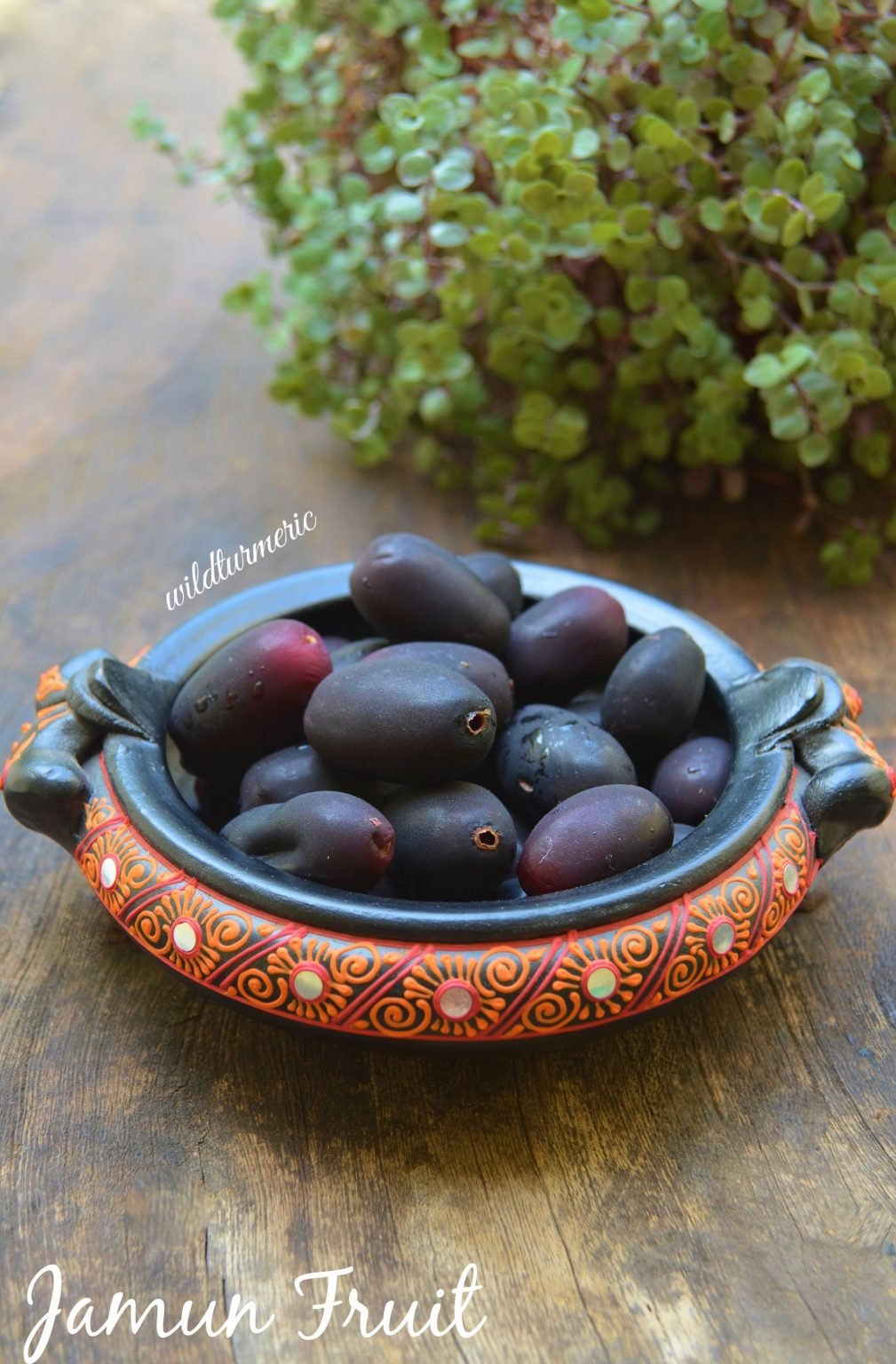 10 Top Benefits Of Jamun Fruit (Naval Palam | Nerale Hannu) - Wildturmeric