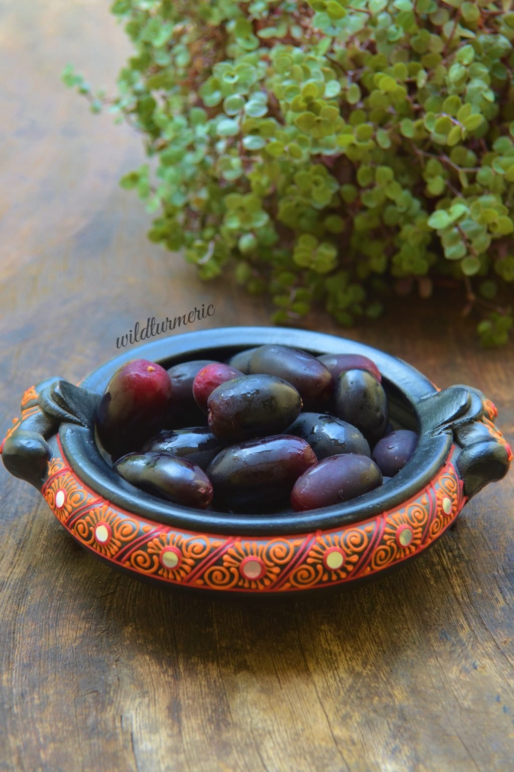 10 Top Benefits Of Jamun Fruit (Naval Palam | Nerale Hannu) - Wildturmeric