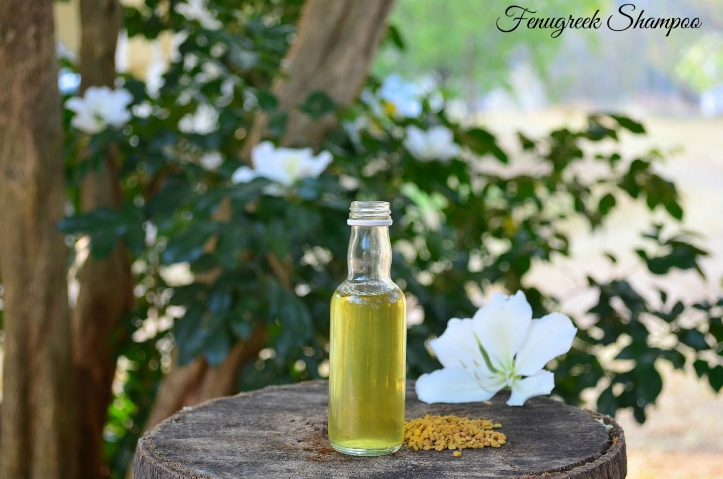 6 Side Effects Of Fenugreek (Methi | Vendhayam) For Hair, Skin & Health ...