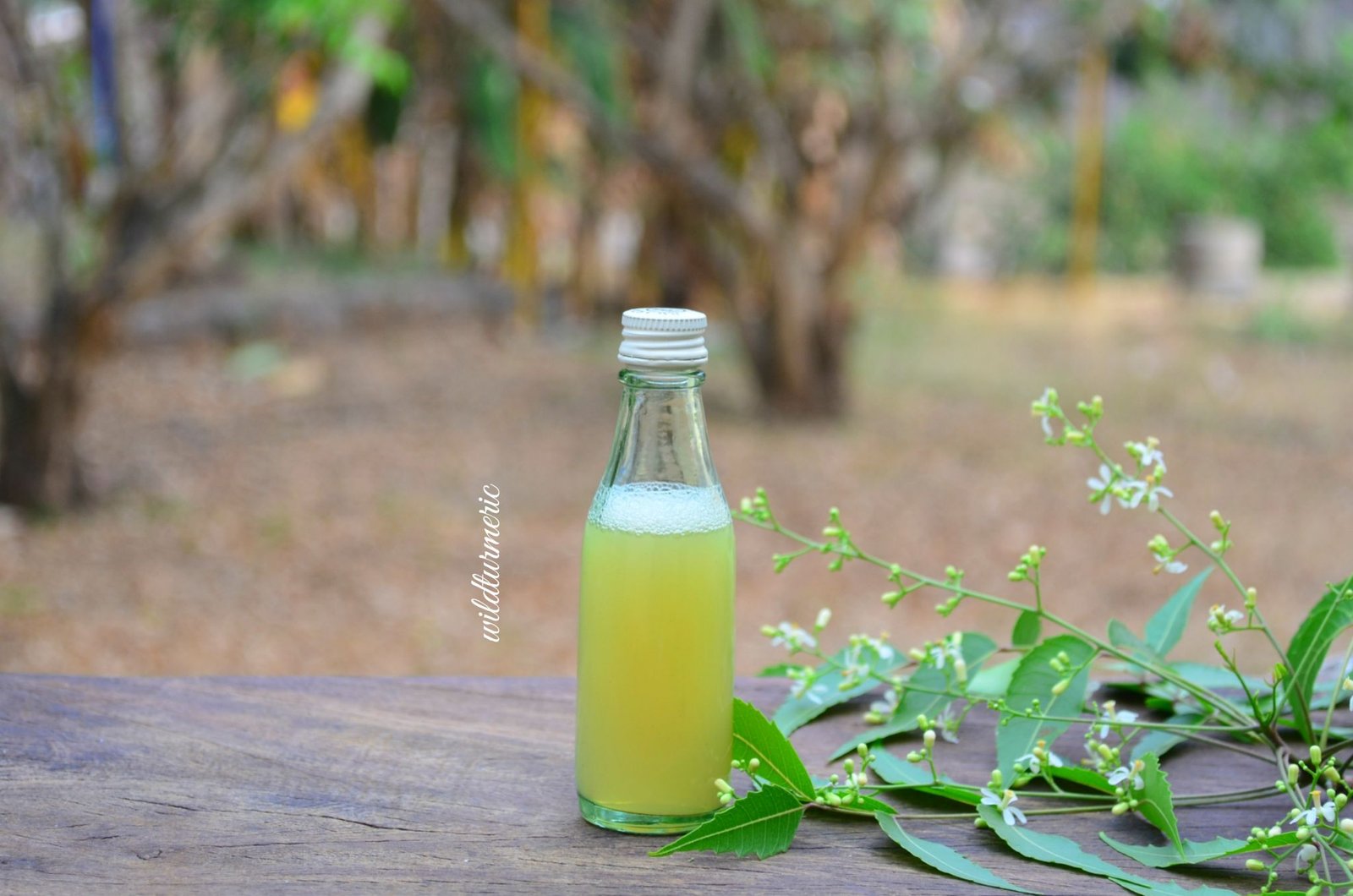 5 Top Anti Dandruff Shampoos You Should Try For Indian Hair ...