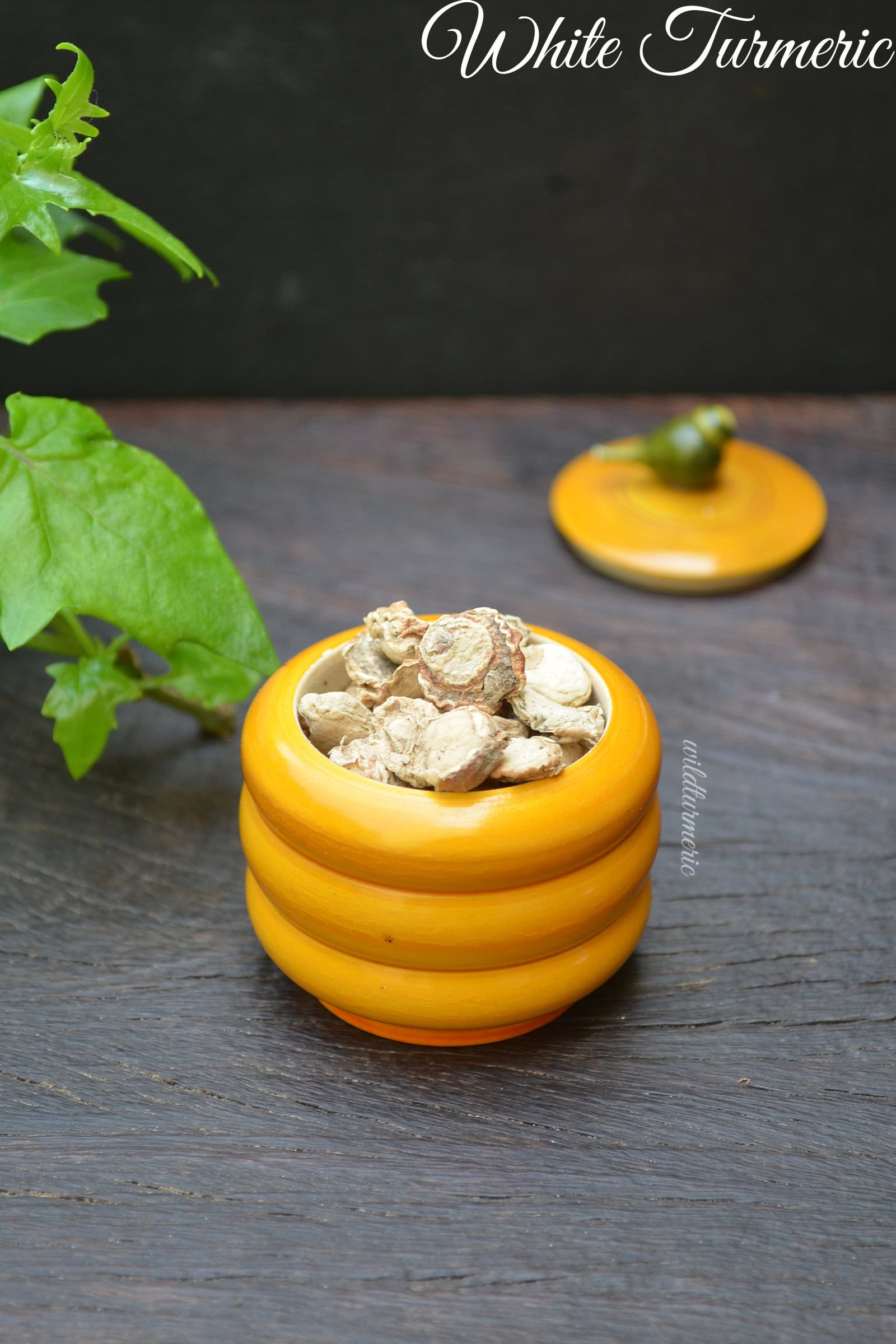 10 Top Uses & Benefits Of White Turmeric (Poolankilangu) For Skin, Hair ...