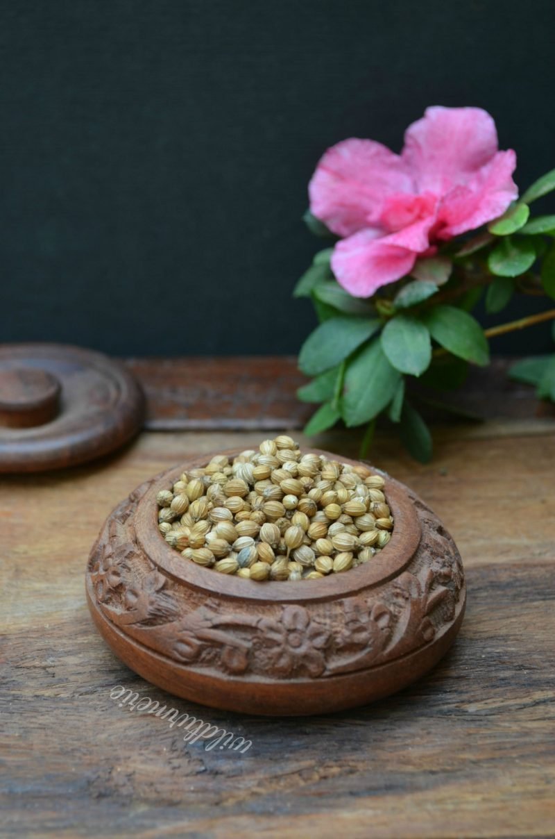 10 Top Medicinal Uses & Benefits Of Coriander Seeds (Dhaniya ...