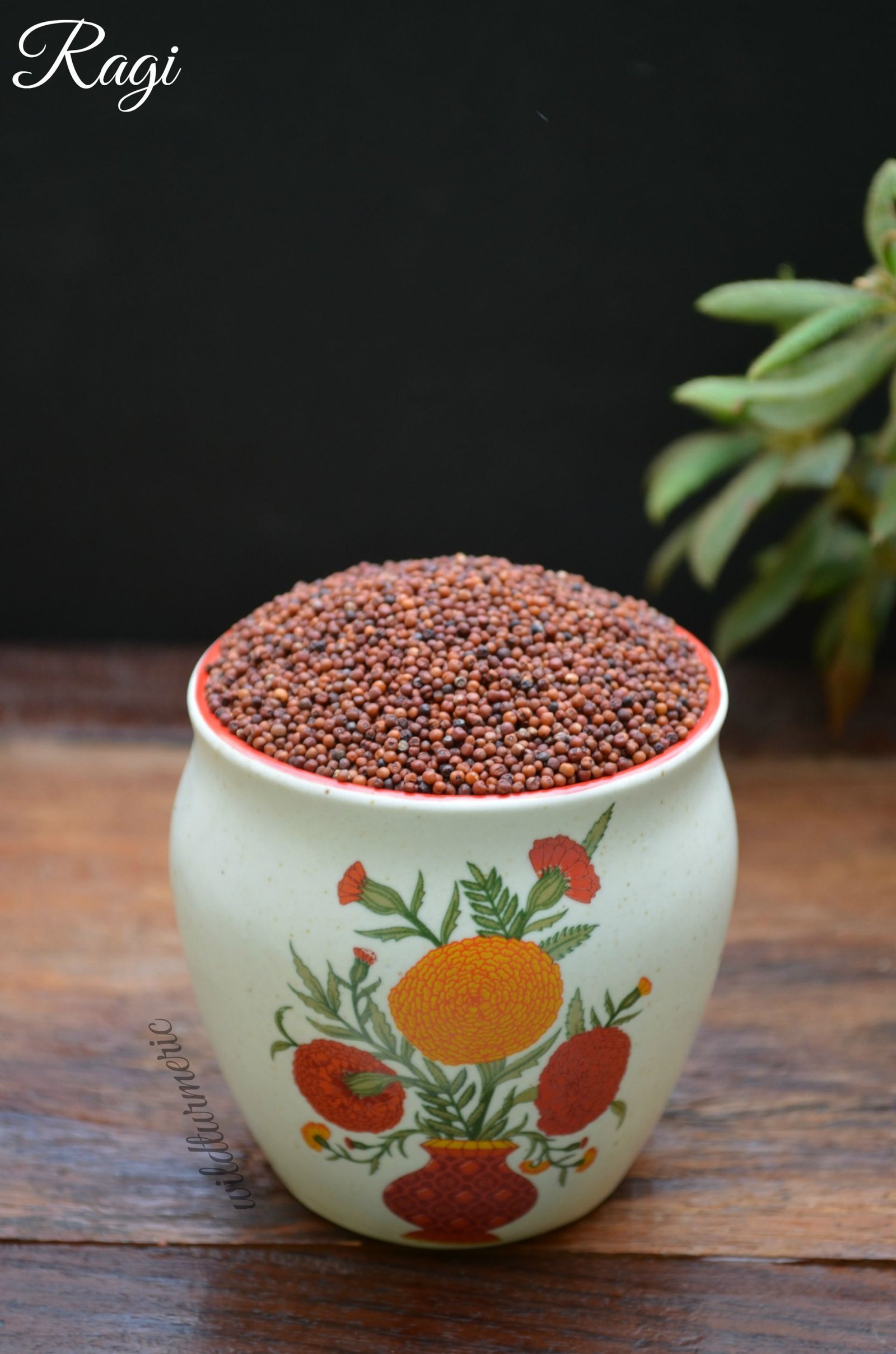 10 Top Good Cholesterol Foods That Increases HDL - Wildturmeric