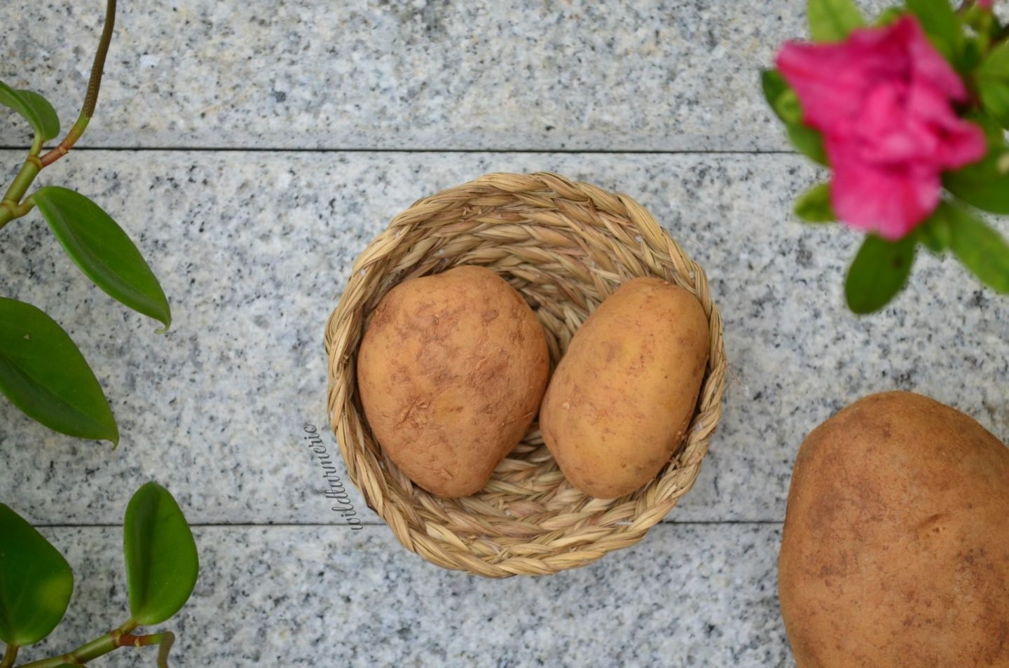 7 Top High Glycemic Index Foods To Avoid Low GI Indian Diet Plan