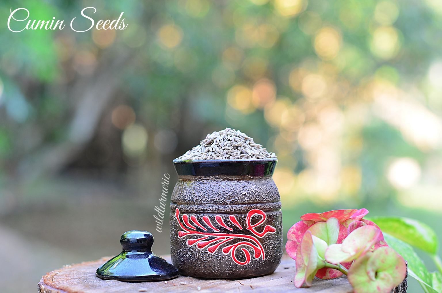 10 Top Benefits Of Cumin Seeds (Jeera Seeds) - Wildturmeric