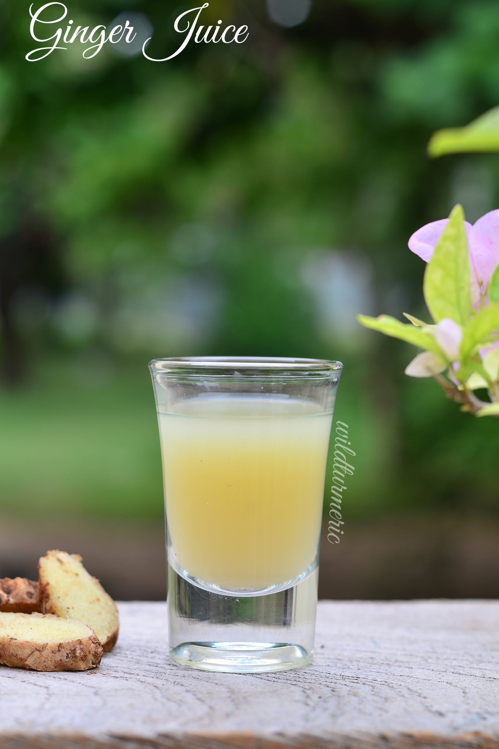 10 Top Health Benefits Of Ginger (Adrak) - Wildturmeric